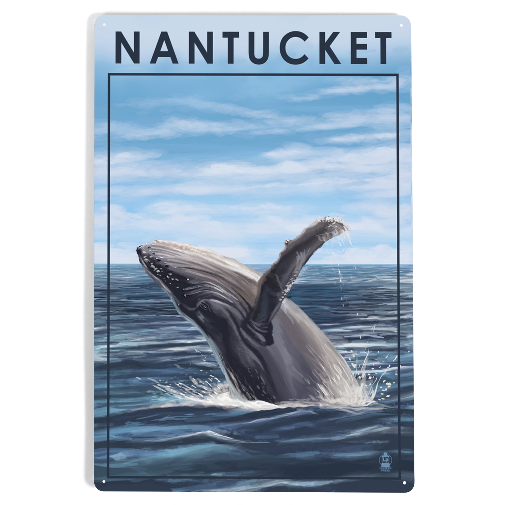 Nantucket, Massachusetts, Humpback Whale (12x18 Aluminum Art, Indoor ...