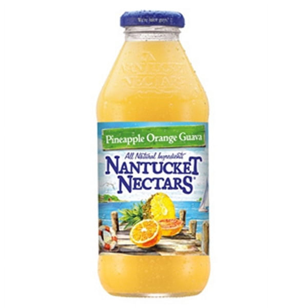 Nantucket Nectars Pineapple Orange Guava 16 oz Glass Bottles - Pack of ...