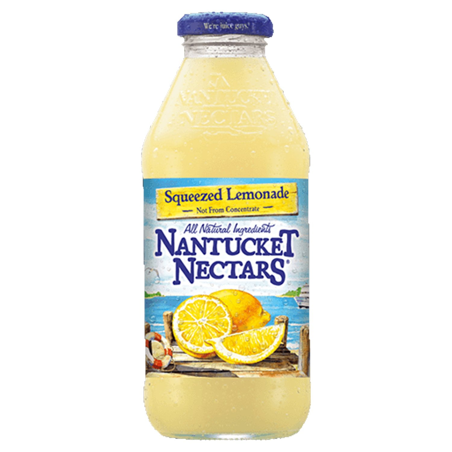 Nantucket Nectars - Squeezed Lemonade - 15.9 oz (Pack of 12 Plastic Bottles), All Natural Family ...