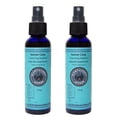 Nantucket Spider Summer Camp Bug Repellent Spray for Kids, Citronella ...