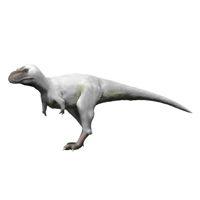 Nanuqsaurus is a theropod from the Late Cretaceous period Poster Print ...