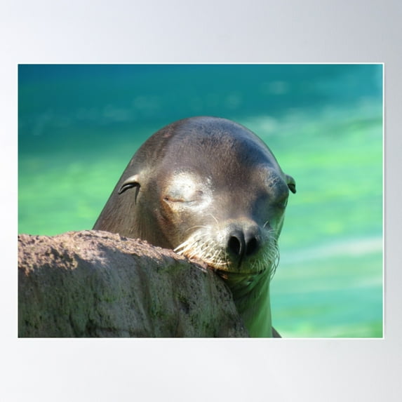 Nap Time Poster Wall Art, Modern Wall Decor For Living Room Bedroom ...