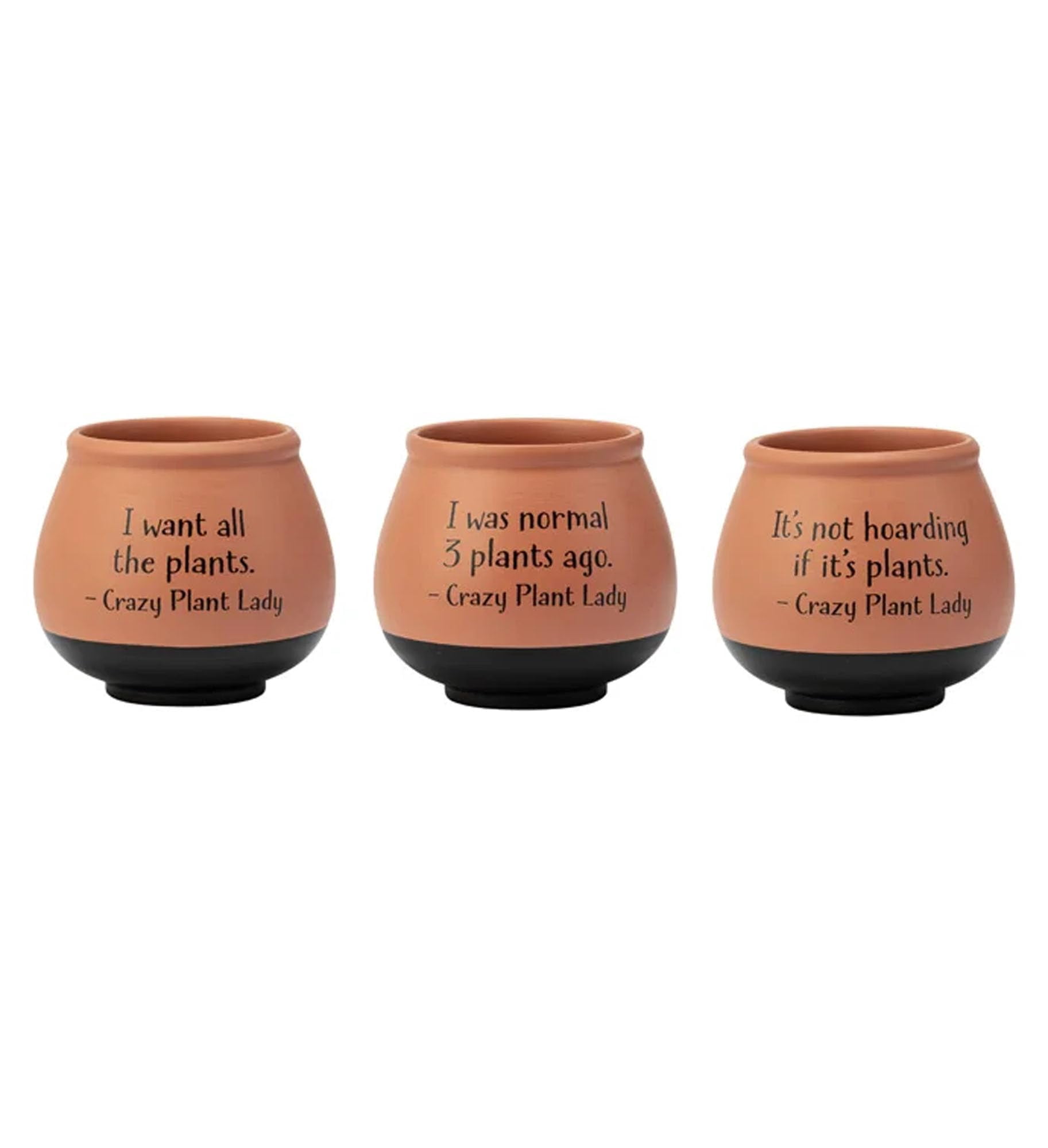 Napco Crazy Plant Lady Want All Hoarding Normal 3.5 x 3 x 3 inches Clay ...