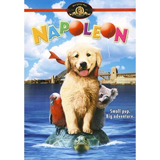 Napoleon [DVD] [DVD] - Walmart.com