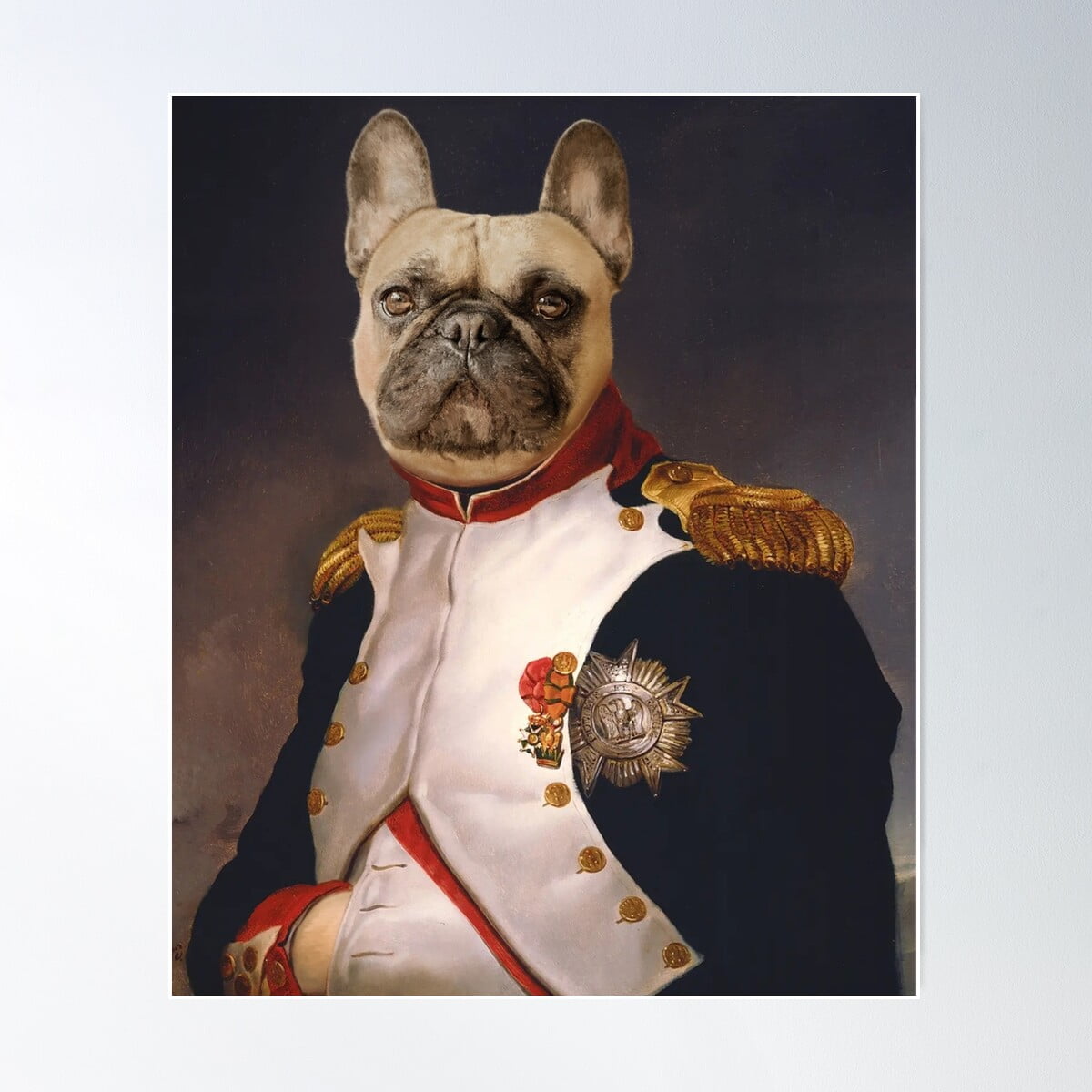 Napoleon Dog Portrait Poster Wall Art, Modern Wall Decor For Living ...