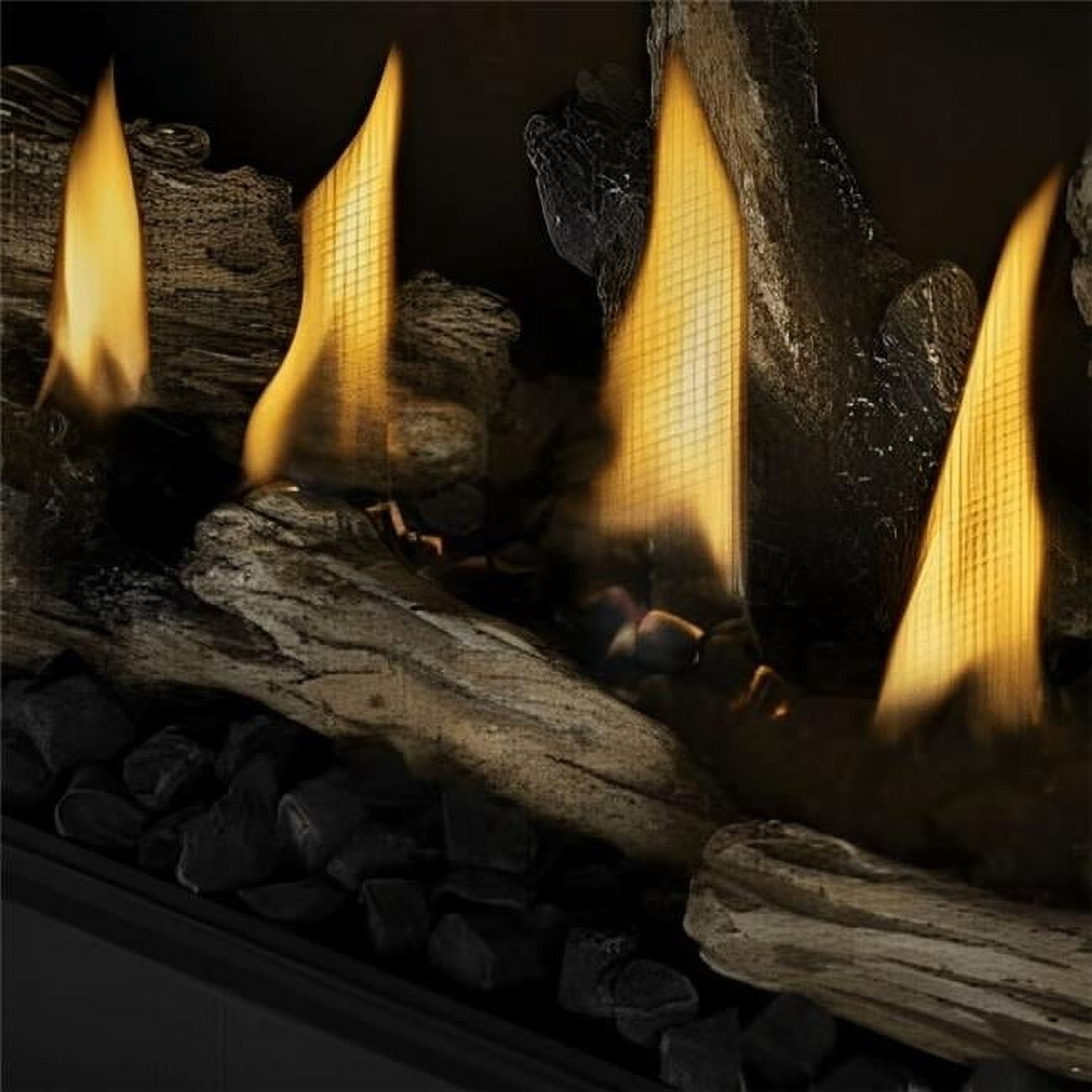 Napoleon Hearth DLKBLP42 Fireplace Driftwood High Definition Logs for ...