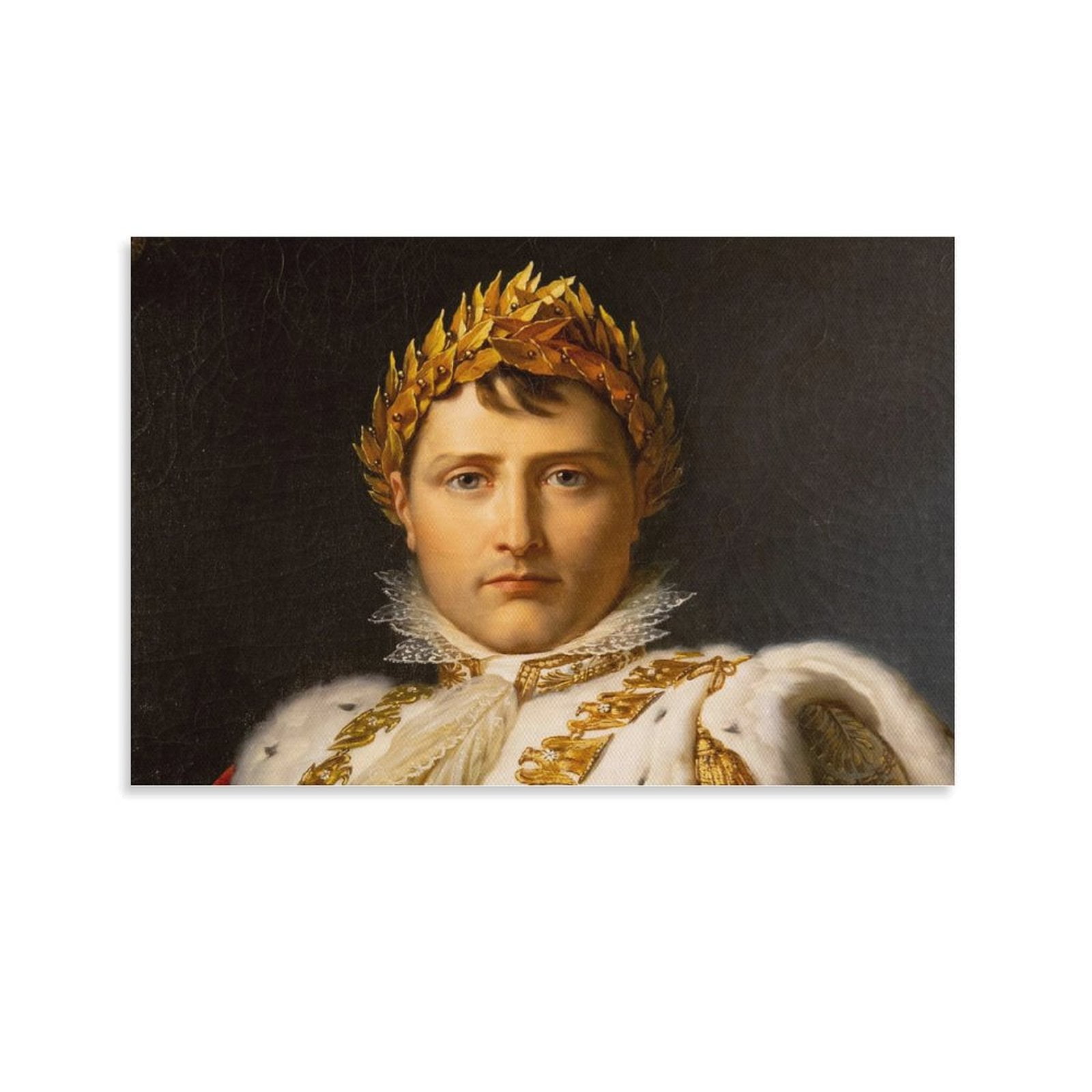 Napoleon Poster Portrait Canvas Poster Wall Art Picture Prints Hanging ...