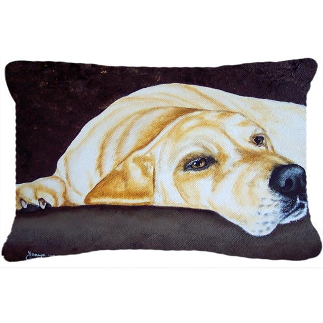 Naptime Yellow Labrador Fabric Decorative Pillow - Walmart.com
