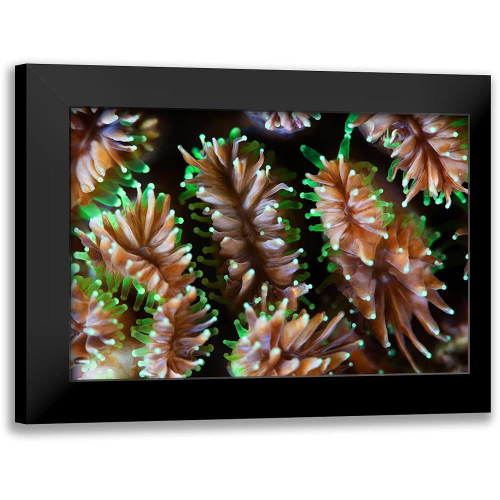 Narchuk, Andrey 14x11 Black Modern Framed Museum Art Print Titled ...