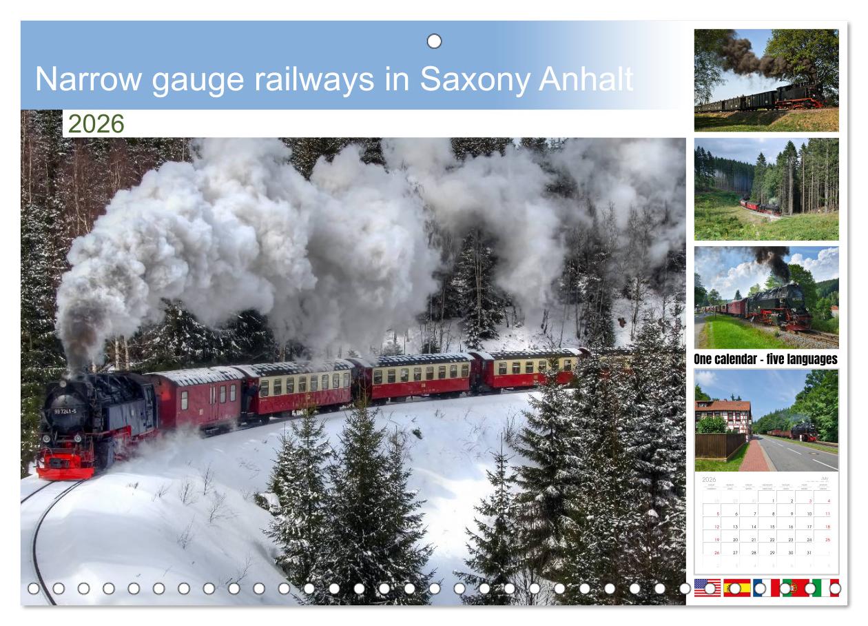 Narrow gauge railways in Saxony Anhalt (Monthly Wall Calendar 2026 16.5 ...