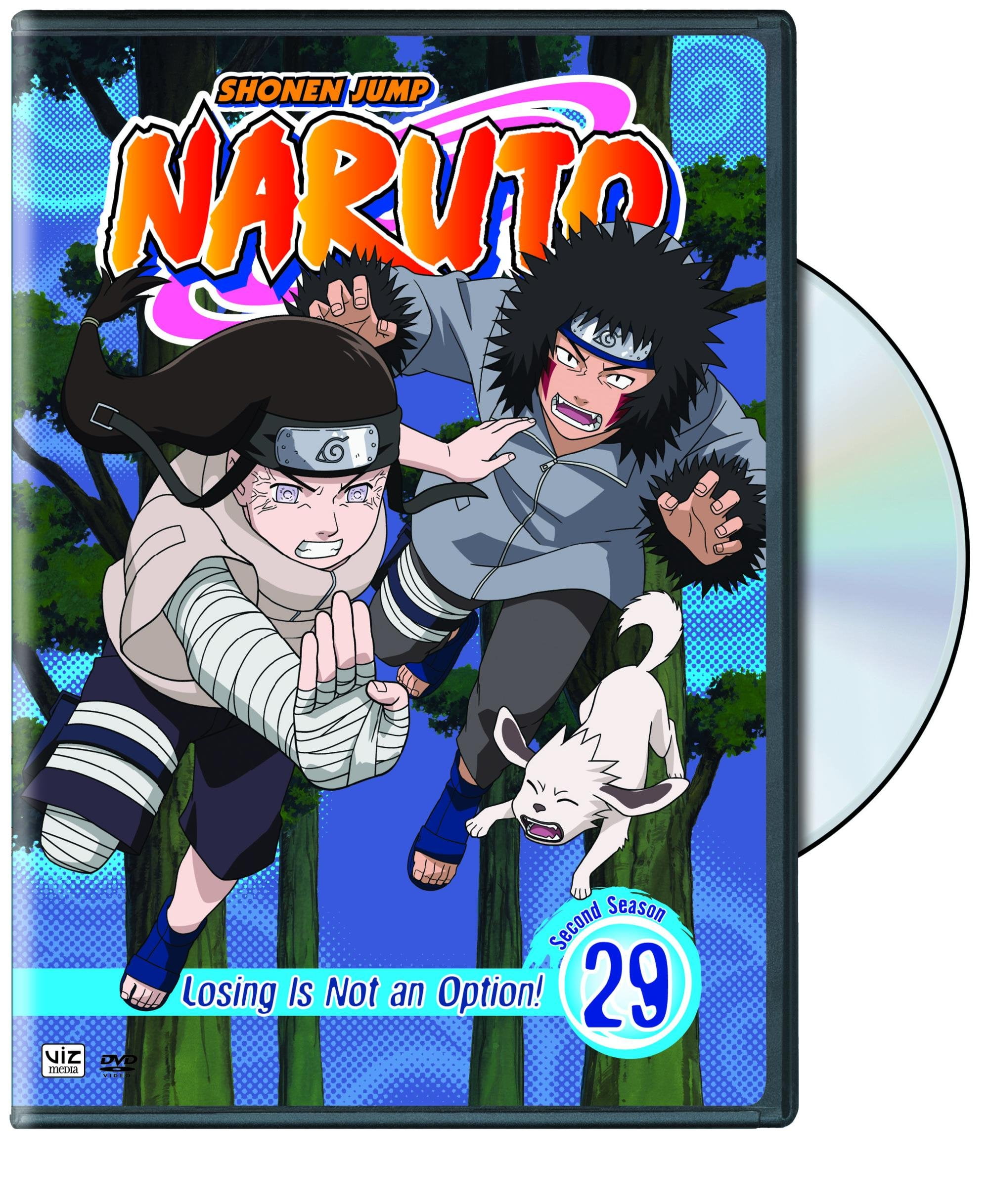 Naruto: Volume 29 DVD NEW - Walmart.com
