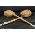 Nat. Sponge on a Stick - Sea Wool - Walmart.com