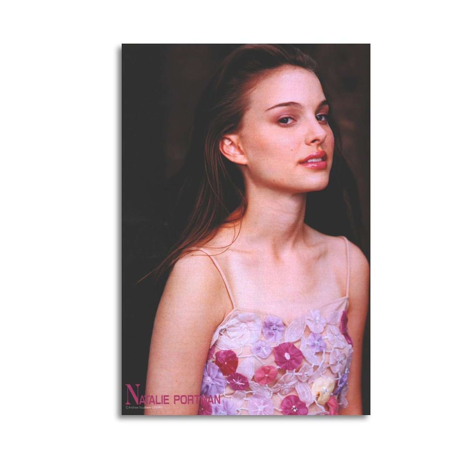 Natalie Portman Poster Wall Art Decoration Painting Living Room Hanging ...