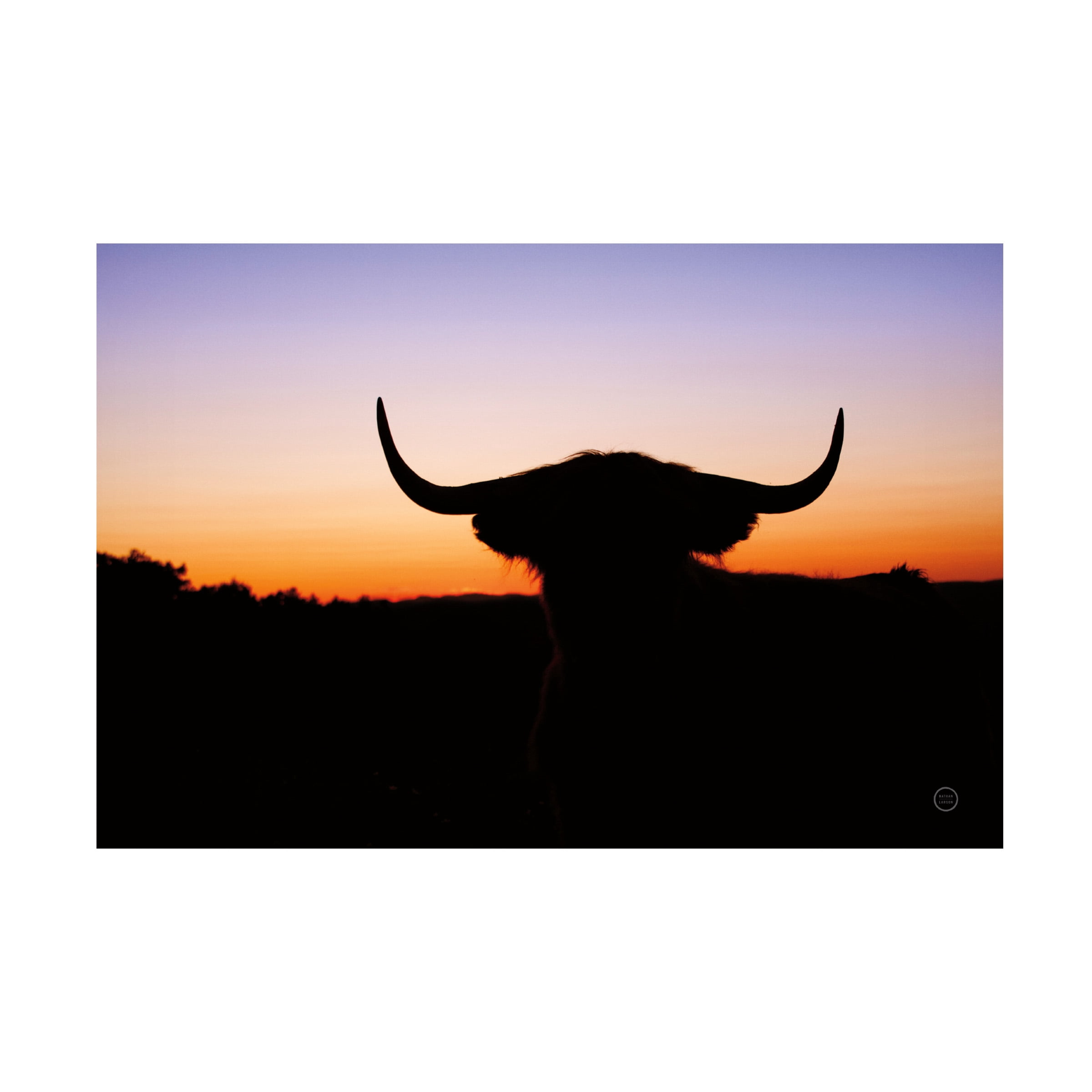 Nathan Larson Bull Set Canvas Art - Animal Silhouette - Walmart.com