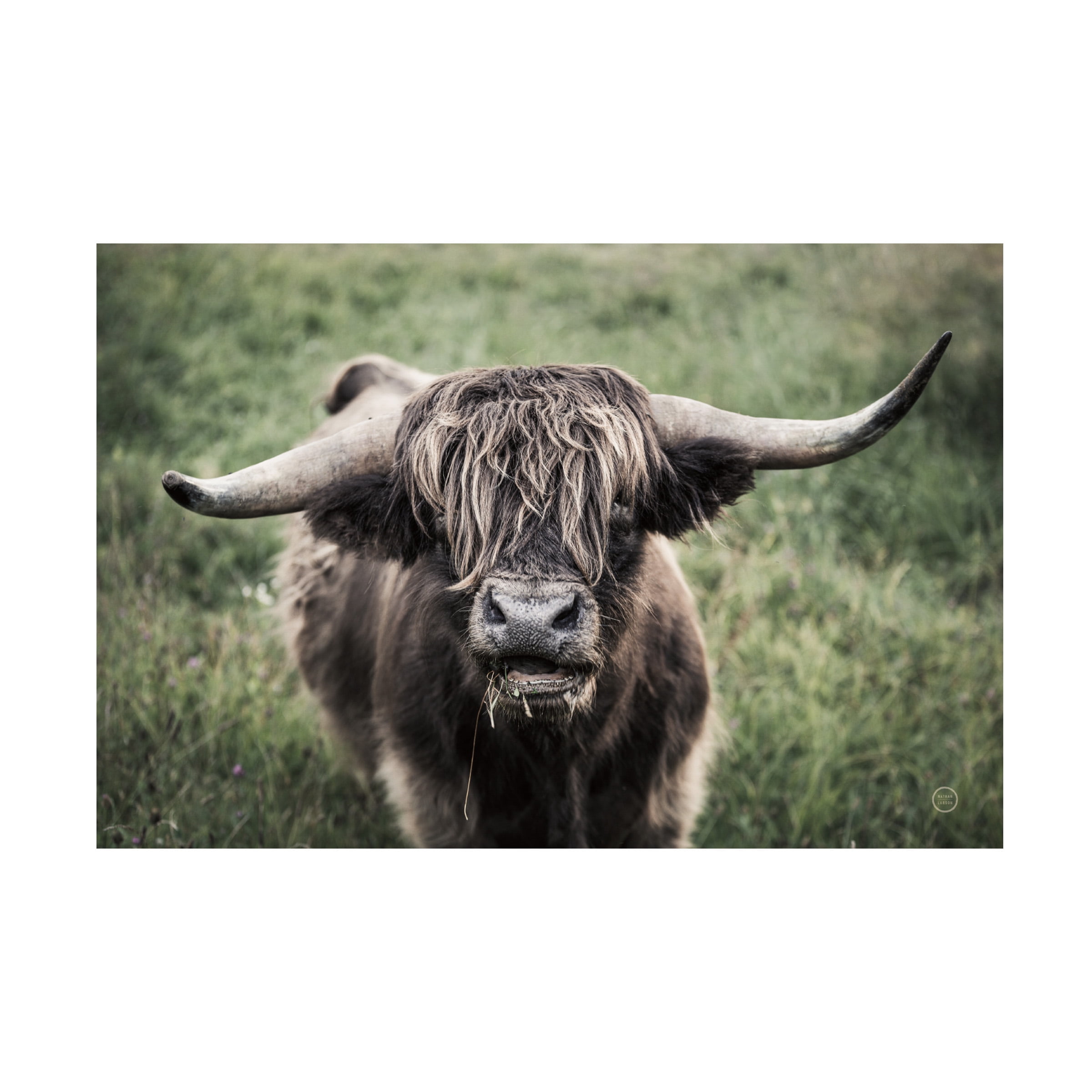 Nathan Larson 'What' Canvas Art - Walmart.com