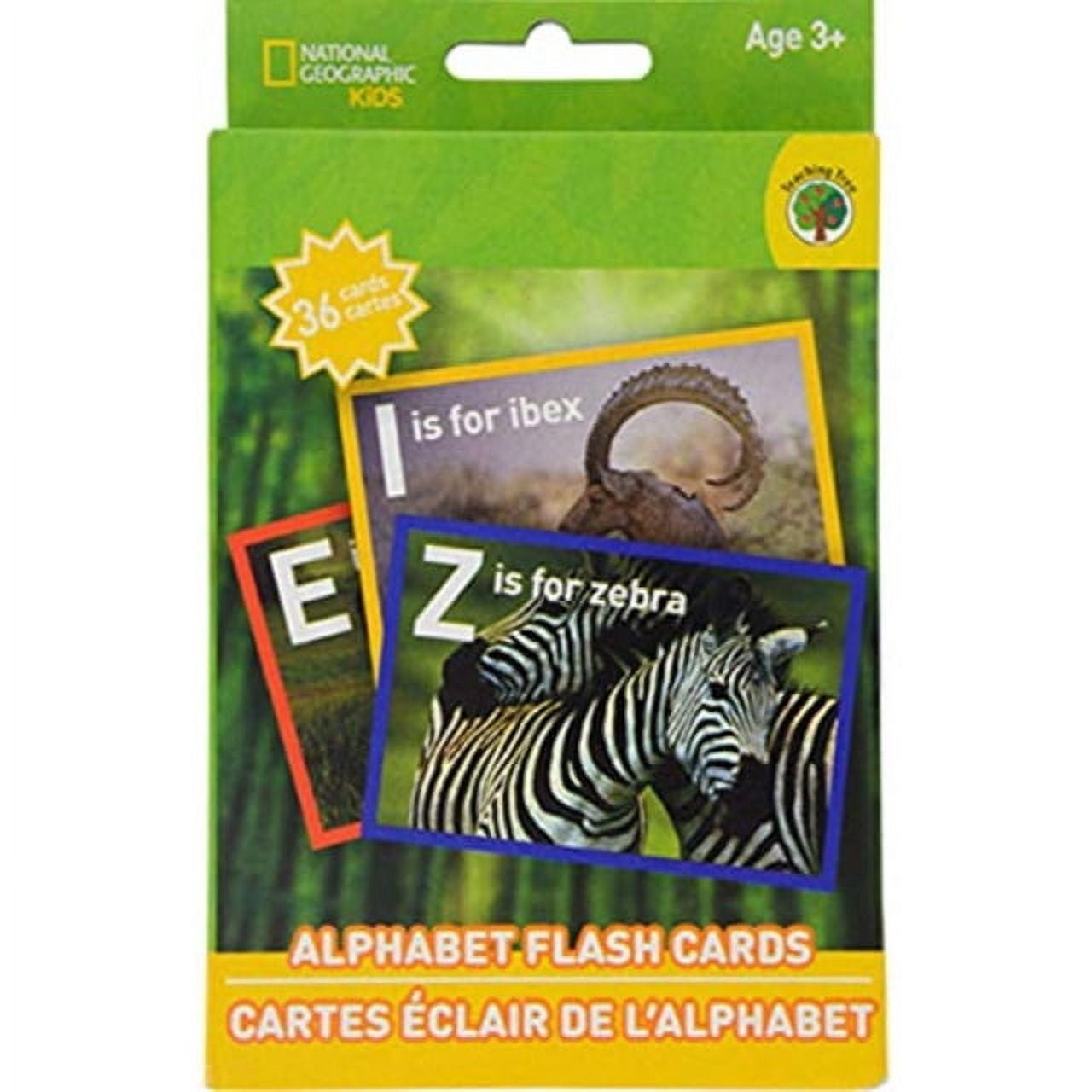 National Geographic Alphabet Flash Cards (36 ct) - Walmart.com
