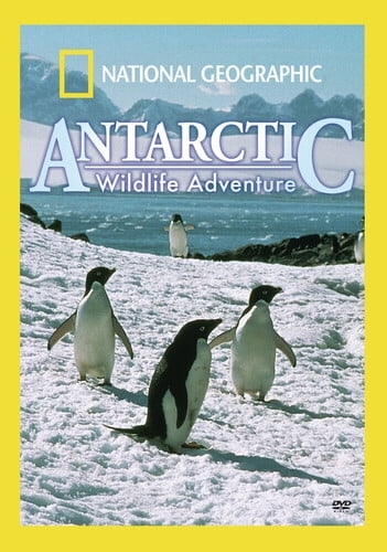 National Geographic: Antarctic Wildlife Adventure (DVD), National ...