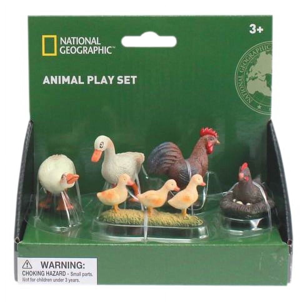 National Geographic - Chicken and Duck Farm Figurines, 5 Pieces ...