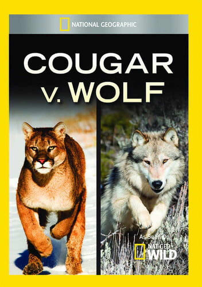 Wolf V Cougar