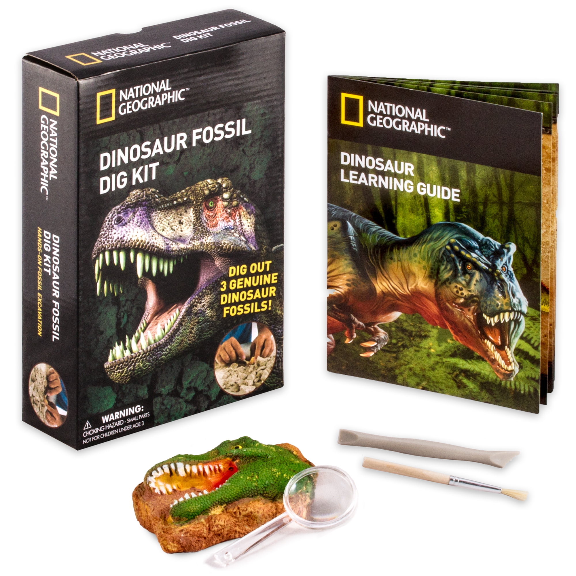 National Geographic© Dinosaur Fossil Dig Kit - Walmart Business Supplies