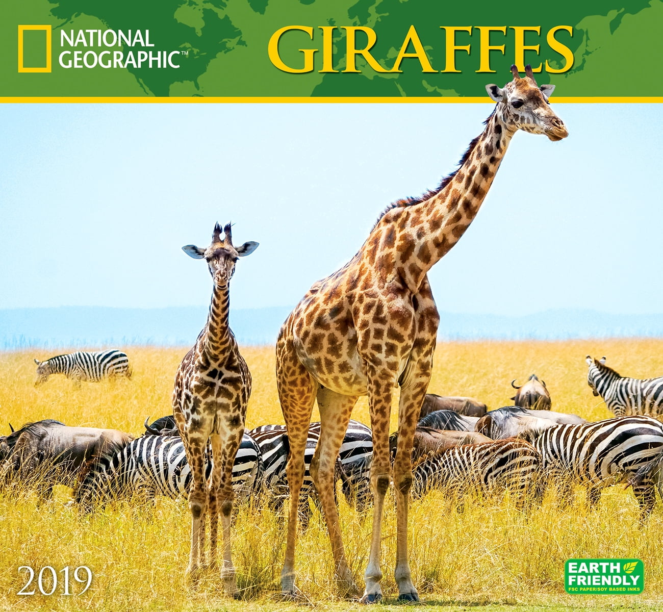 National Geographic Giraffes 2019 Calendar (Other) - Walmart.com