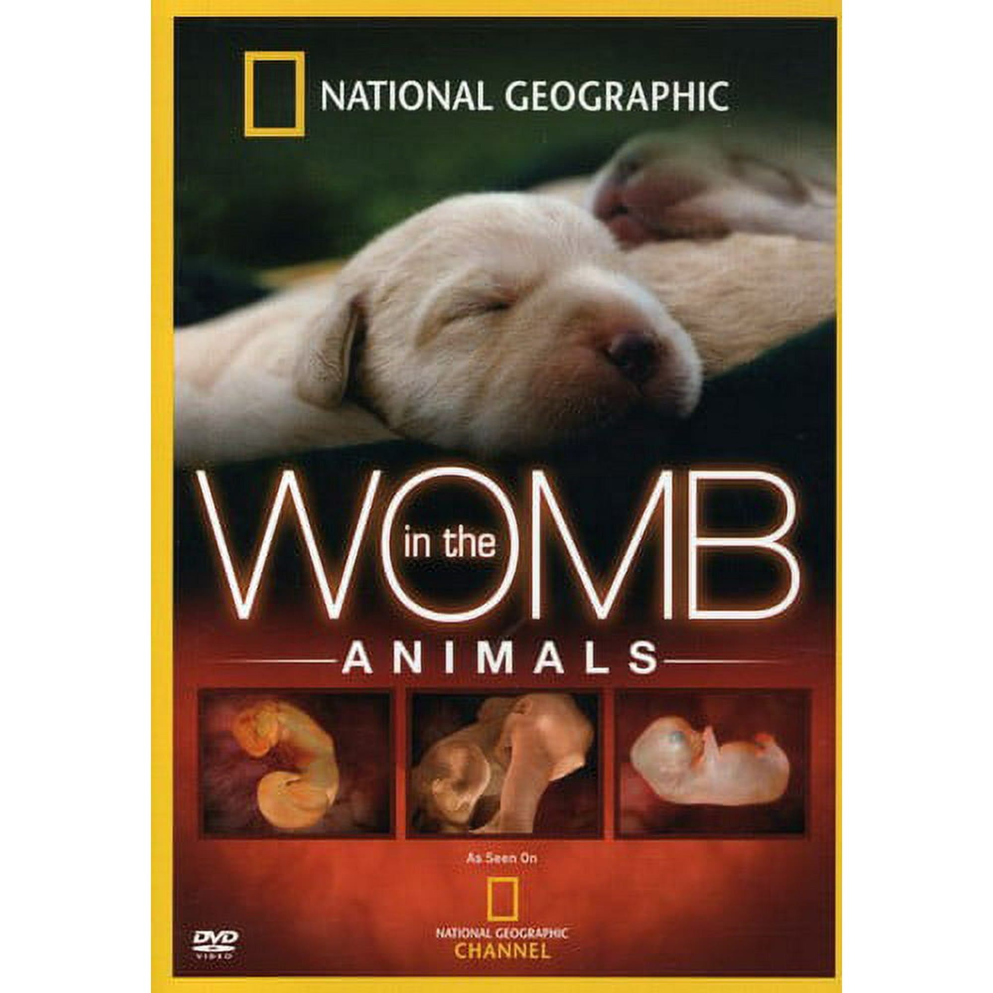 Animals In The Womb National Geographic