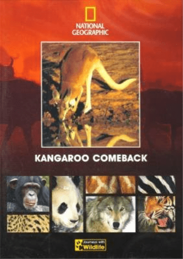National Geographic - Kangaroo Comeback (Journeys with Wildlife 18 ...