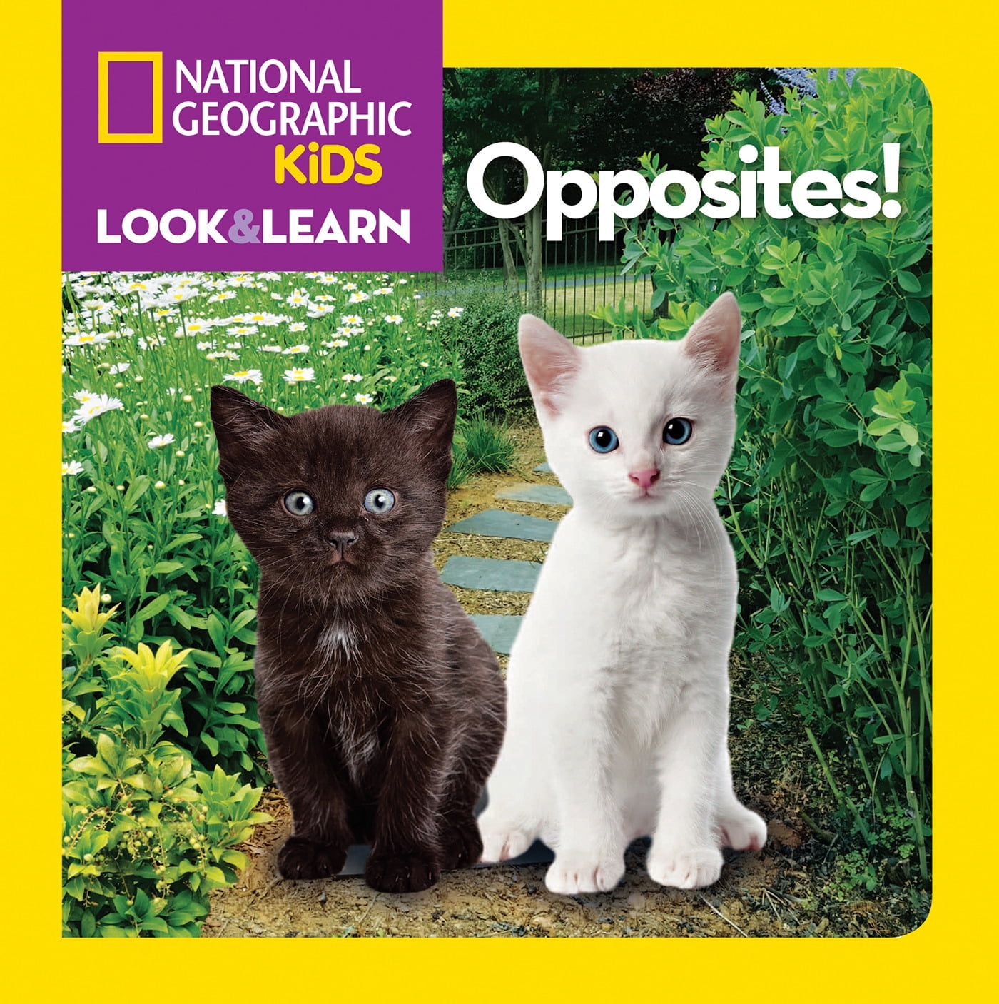 National Geographic Kids Look and Learn: Opposites! (Board Book ...