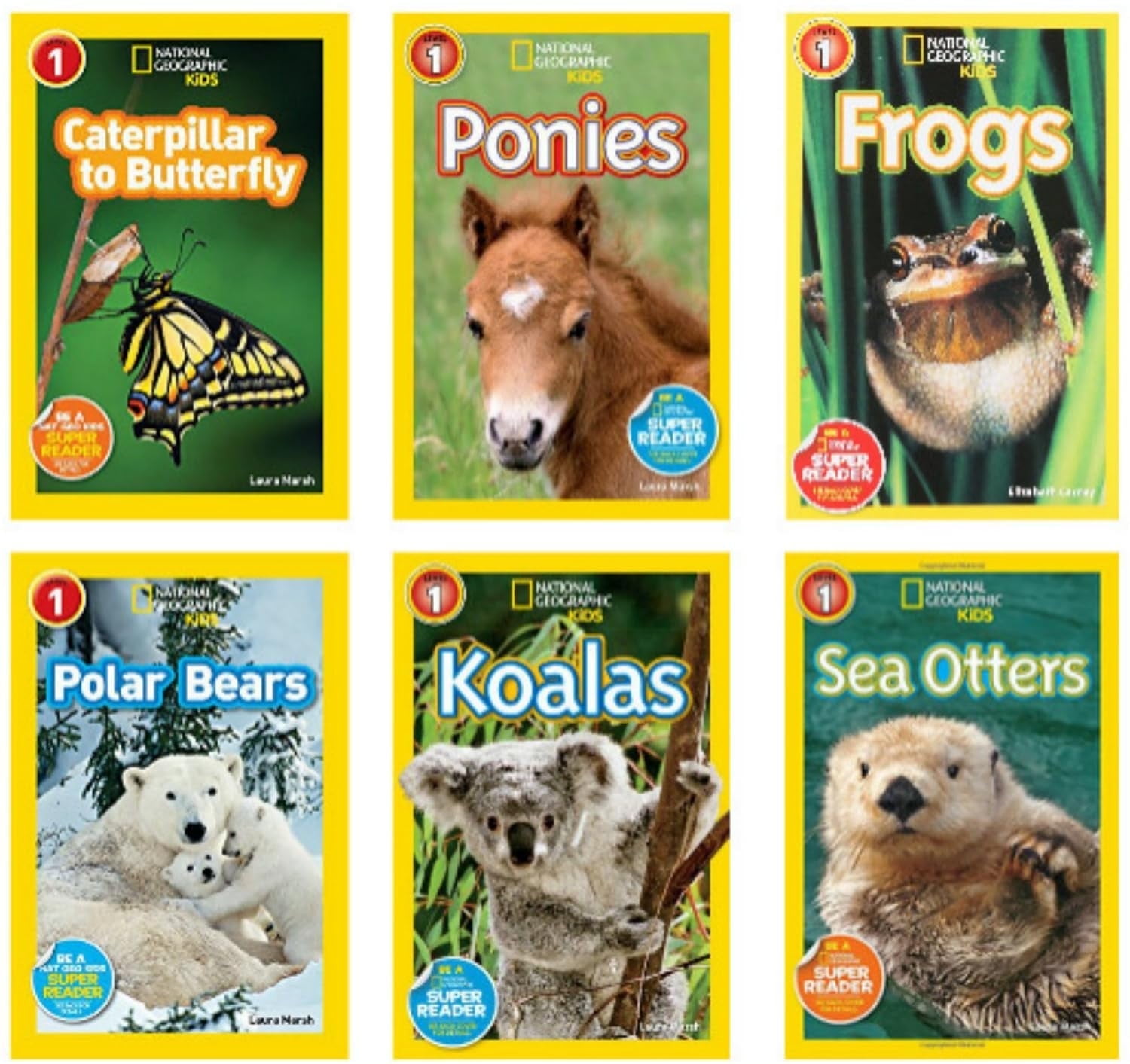 National Geographic Readers Level 1 Set : Caterpillar to Butterfly; Ponies; Frogs; Koalas; Sea ...