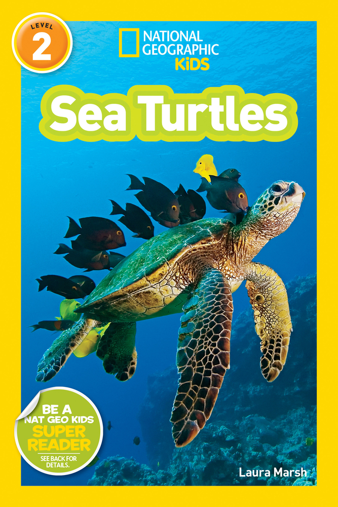Pre-Owned Sea Turtles (National Geographic Kids Readers, Level 2) (Library Binding) 142630854X ...