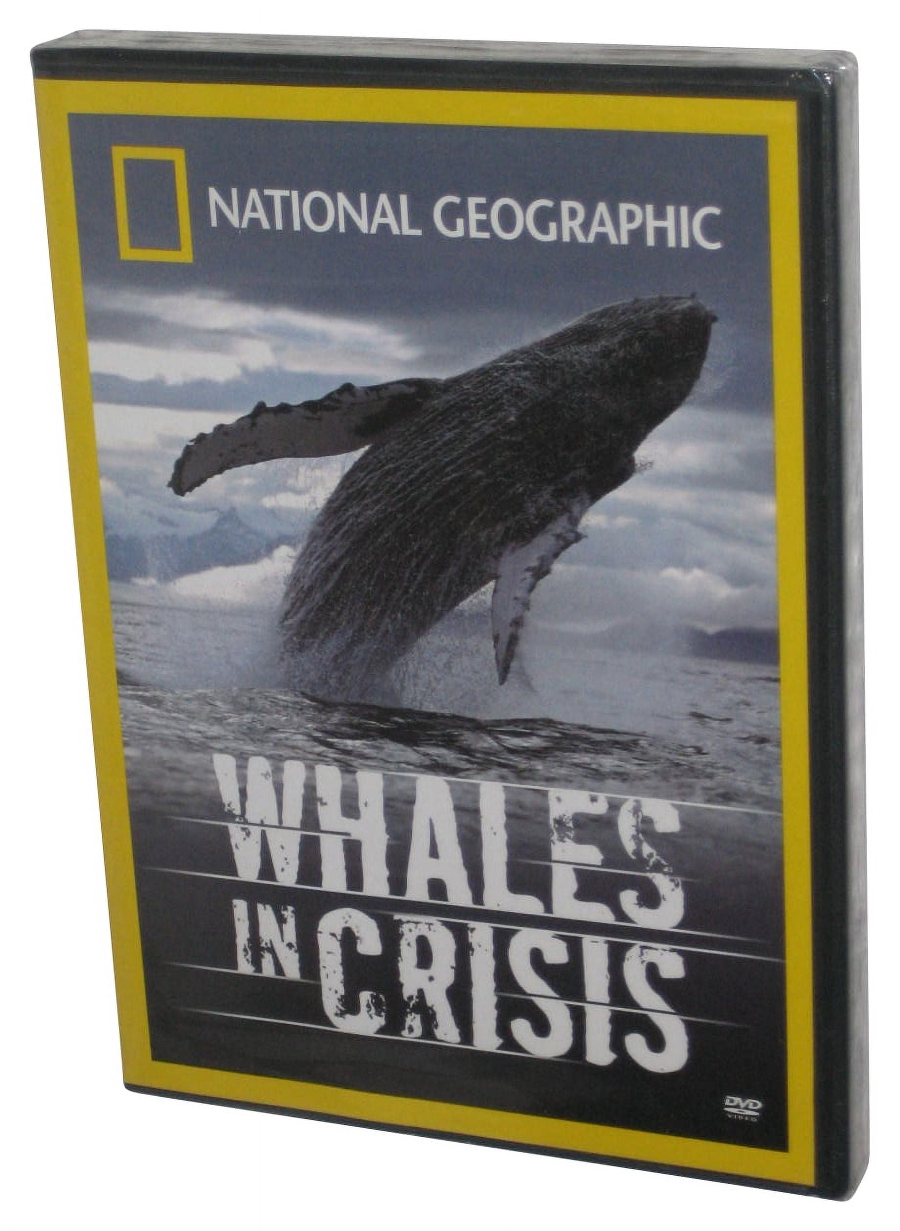 National Geographic: Whales in Crisis (DVD) - Walmart.com