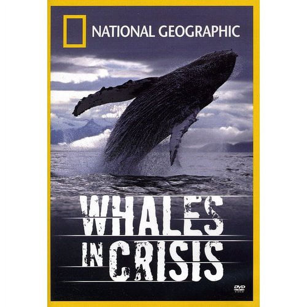 National Geographic: Whales in Crisis (DVD) - Walmart.com