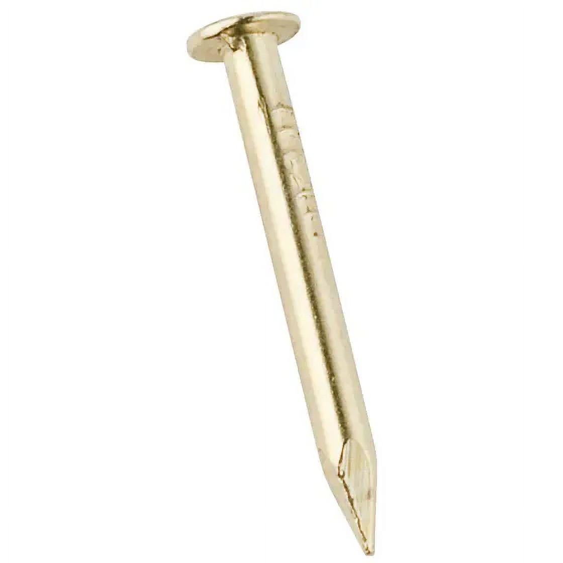 National Hardware N278-739 Escutcheon Pins Brass Plated 14 Gauge By 3/4 ...