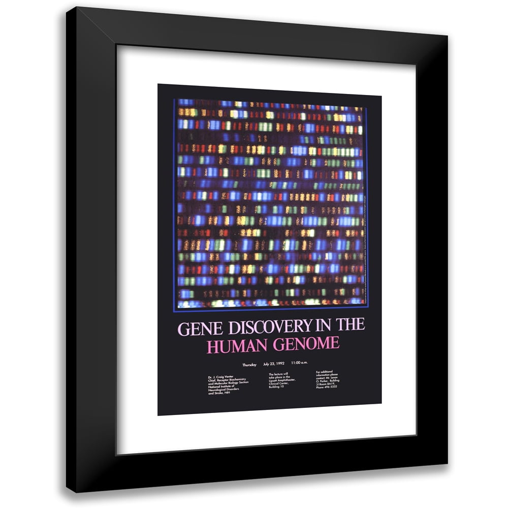 National Institutes of Health 11x14 Black Modern Framed Museum Art ...