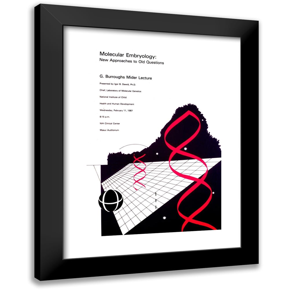 National Institutes of Health 11x14 Black Modern Framed Museum Art ...