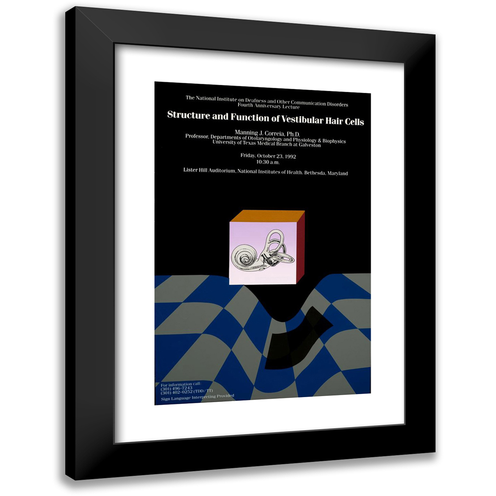 National Institutes of Health 11x14 Black Modern Framed Museum Art ...