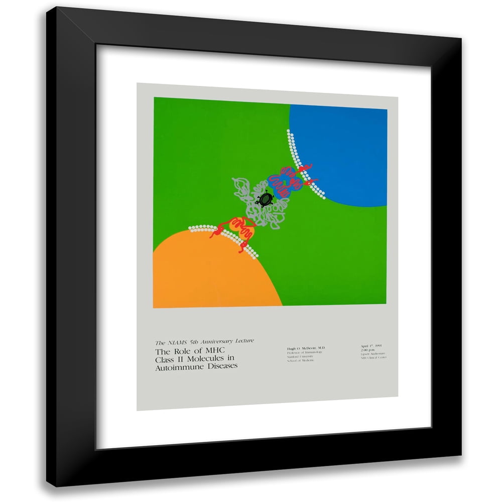 National Institutes of Health 12x14 Black Modern Framed Museum Art ...