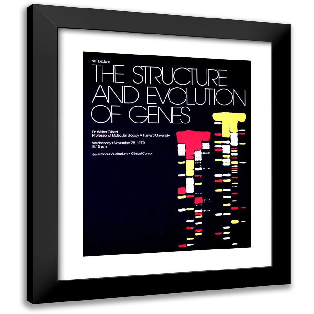 National Institutes of Health 15x18 Black Modern Framed Museum Art ...