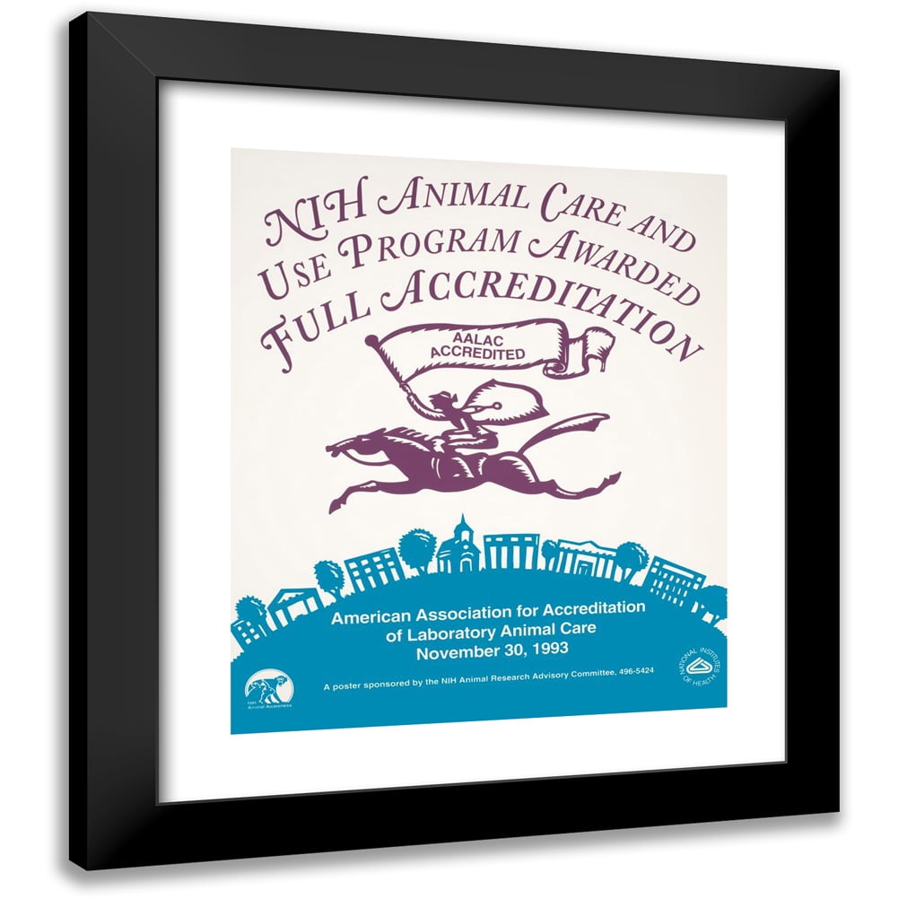 National Institutes of Health 20x23 Black Modern Framed Museum Art ...