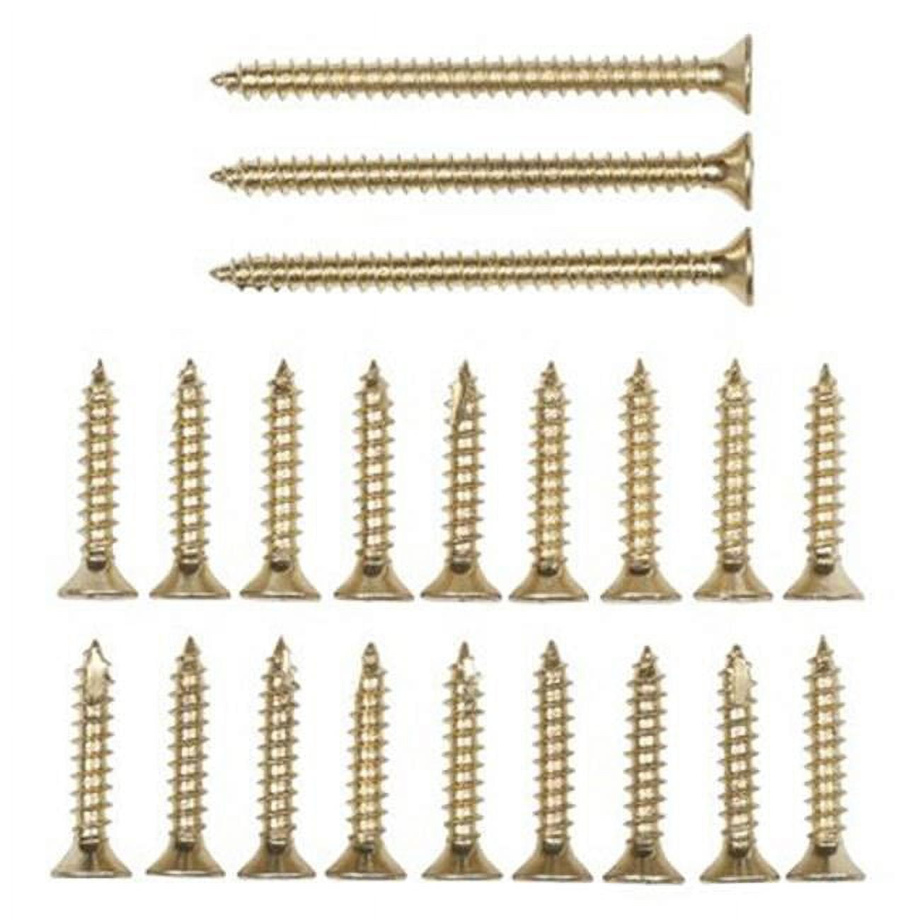 NATIONAL MFG/SPECTRUM BRANDS HHI N109-189 Door Hinge Screws - Walmart.com