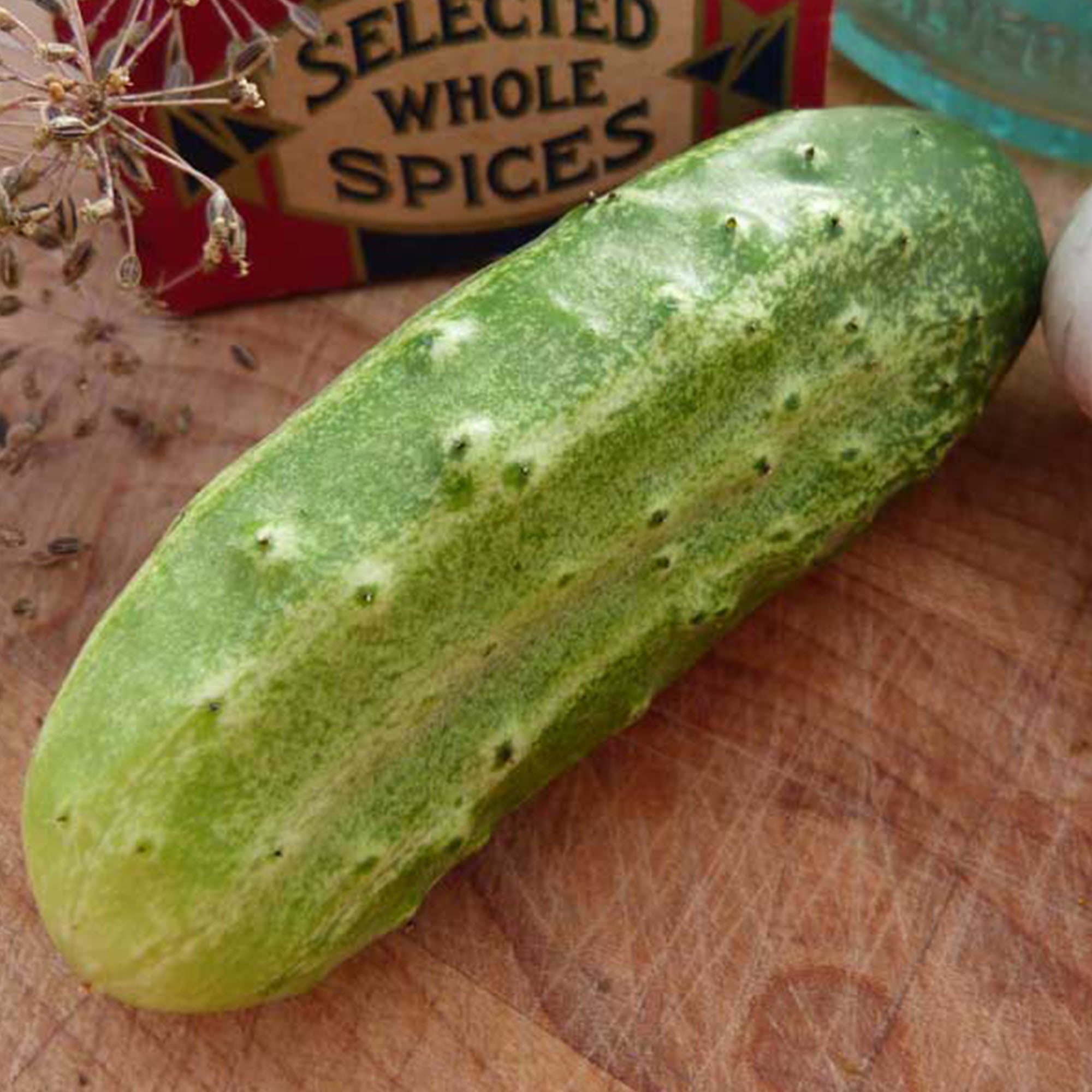 National Pickling Cucumber Seeds - 1 g ~30 Seeds - Heirloom, Open ...