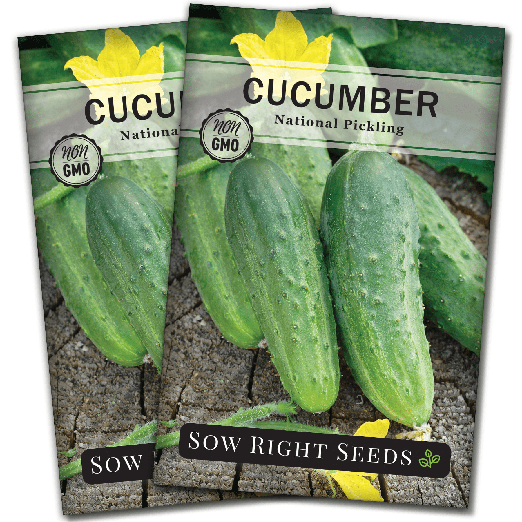 National Pickling Cucumber Seeds - Non GMO Heirloom Varieties for your ...