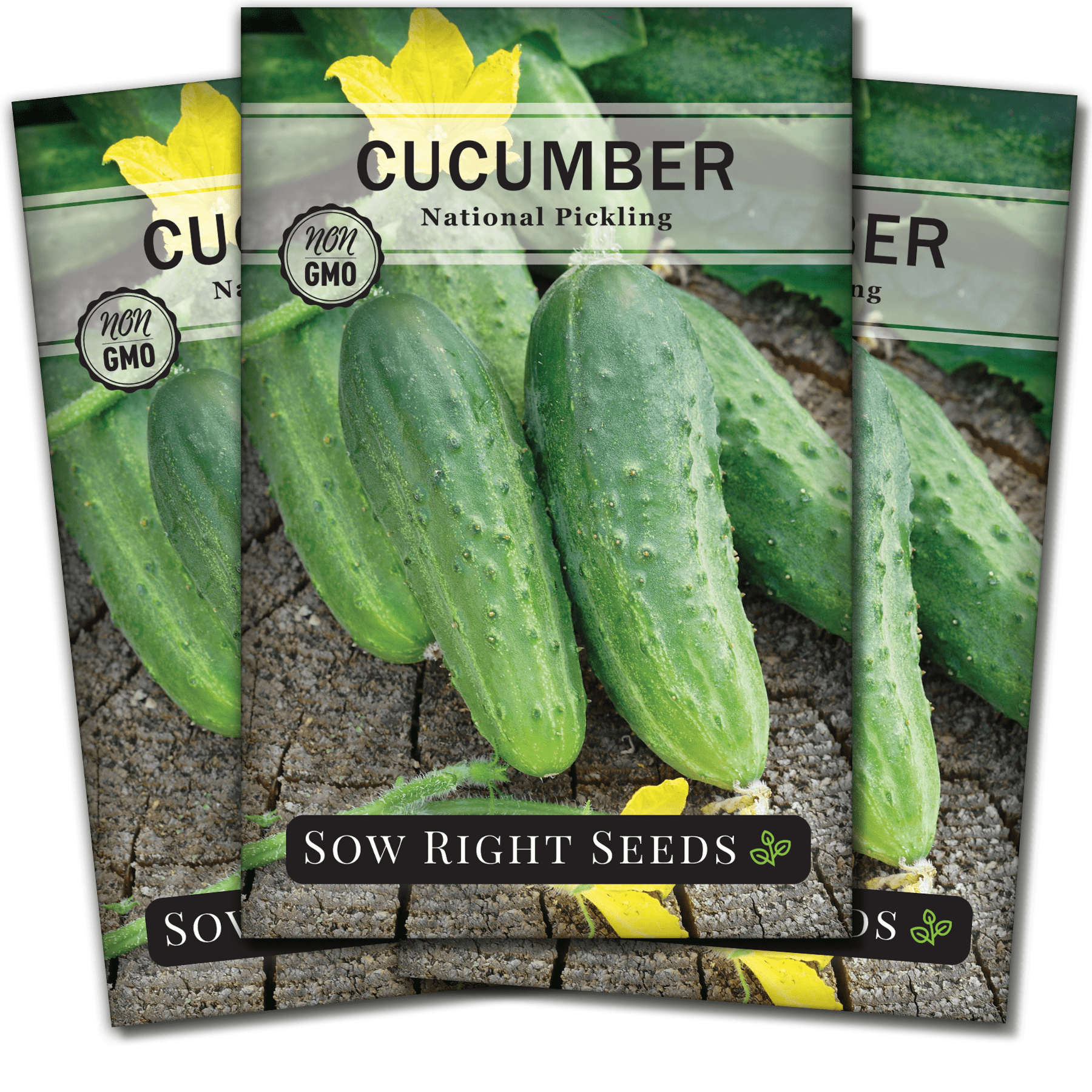 National Pickling Cucumber Seeds - Non GMO Heirloom Varieties for your ...