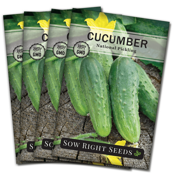 National Pickling Cucumber Seeds - Non GMO Heirloom Varieties for your ...