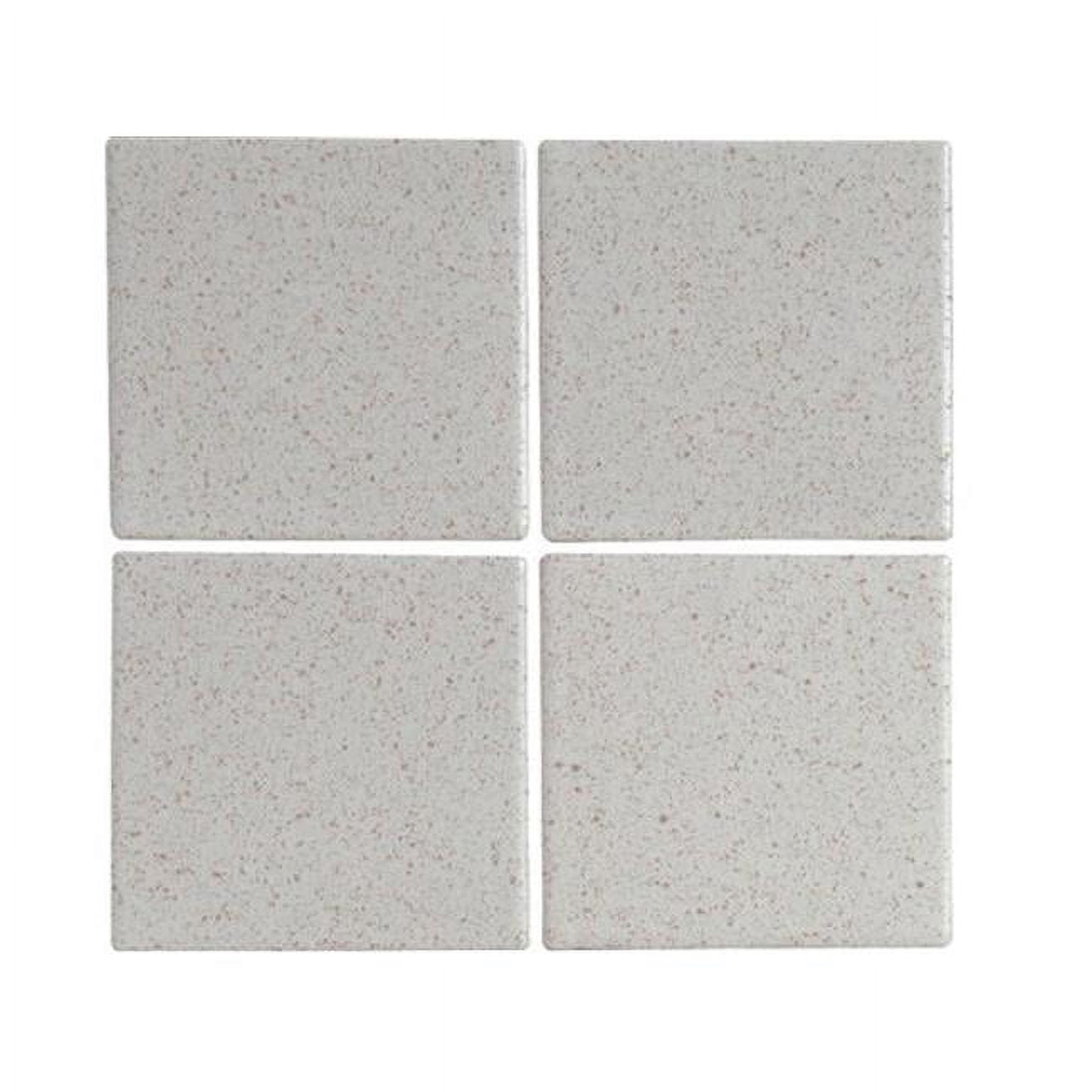 National Pool Tile CNRST-BEIGE 1.05 x 21 sq ft. & 3 x 3 in. Cornerstone ...