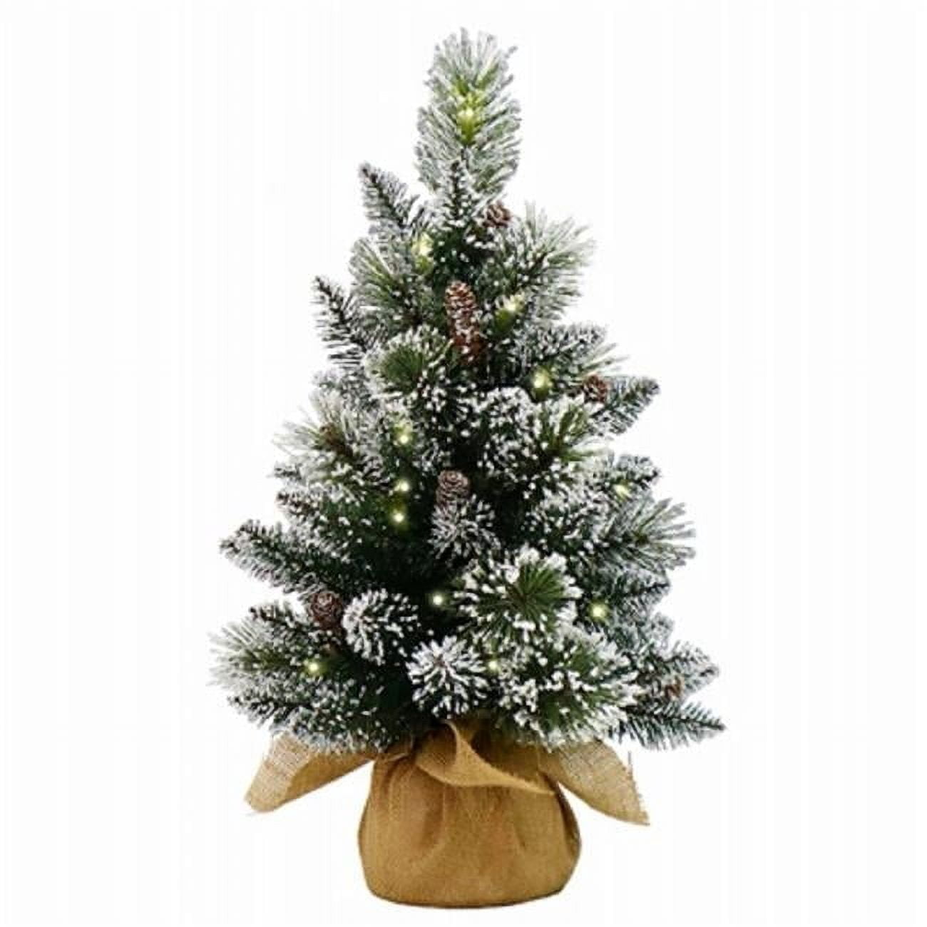 National Tree 266735 2 ft. Glittery Bristle Pine Artificial Tree, Warm ...
