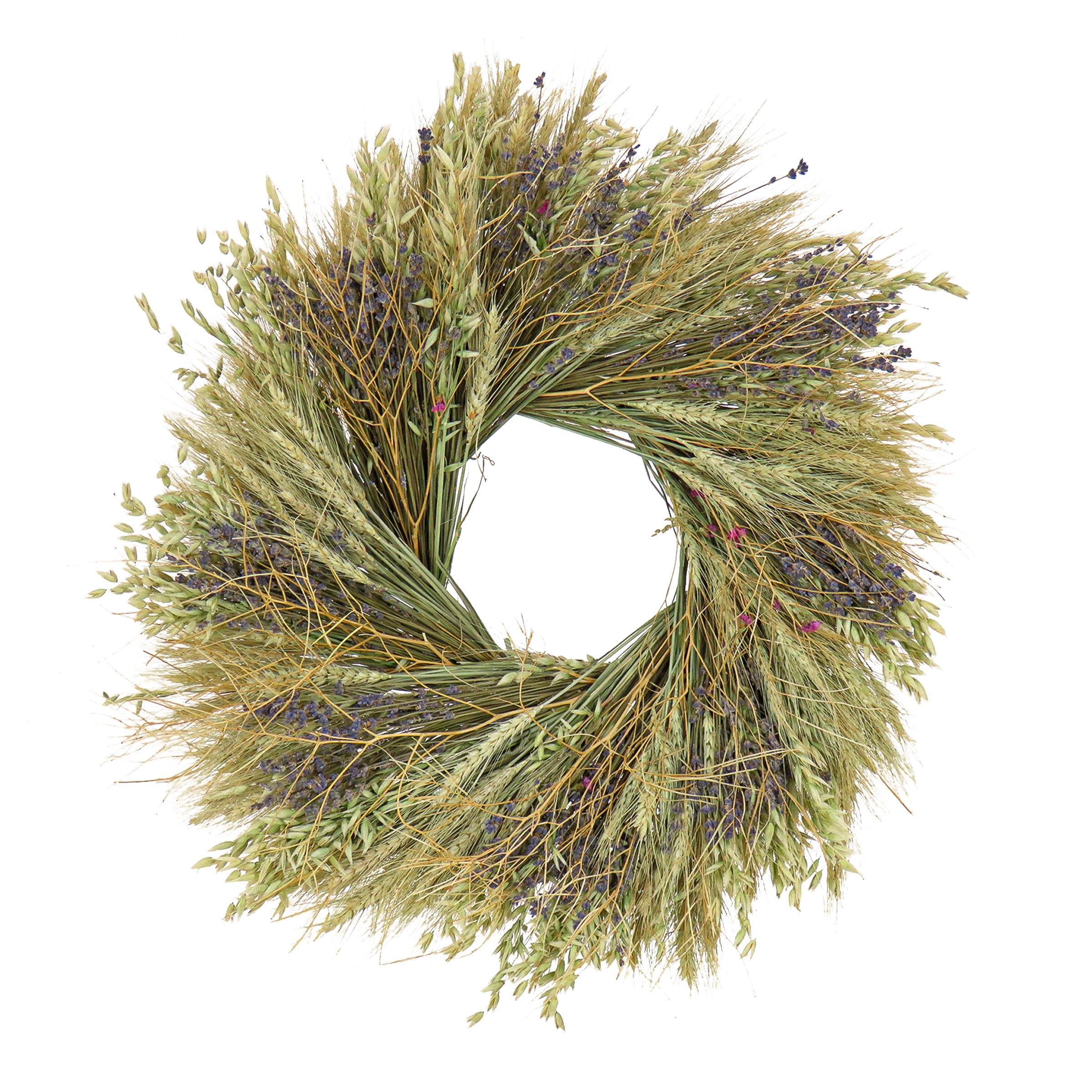 National Tree Company Artificial Spring Wreath, Metal Ring Base ...