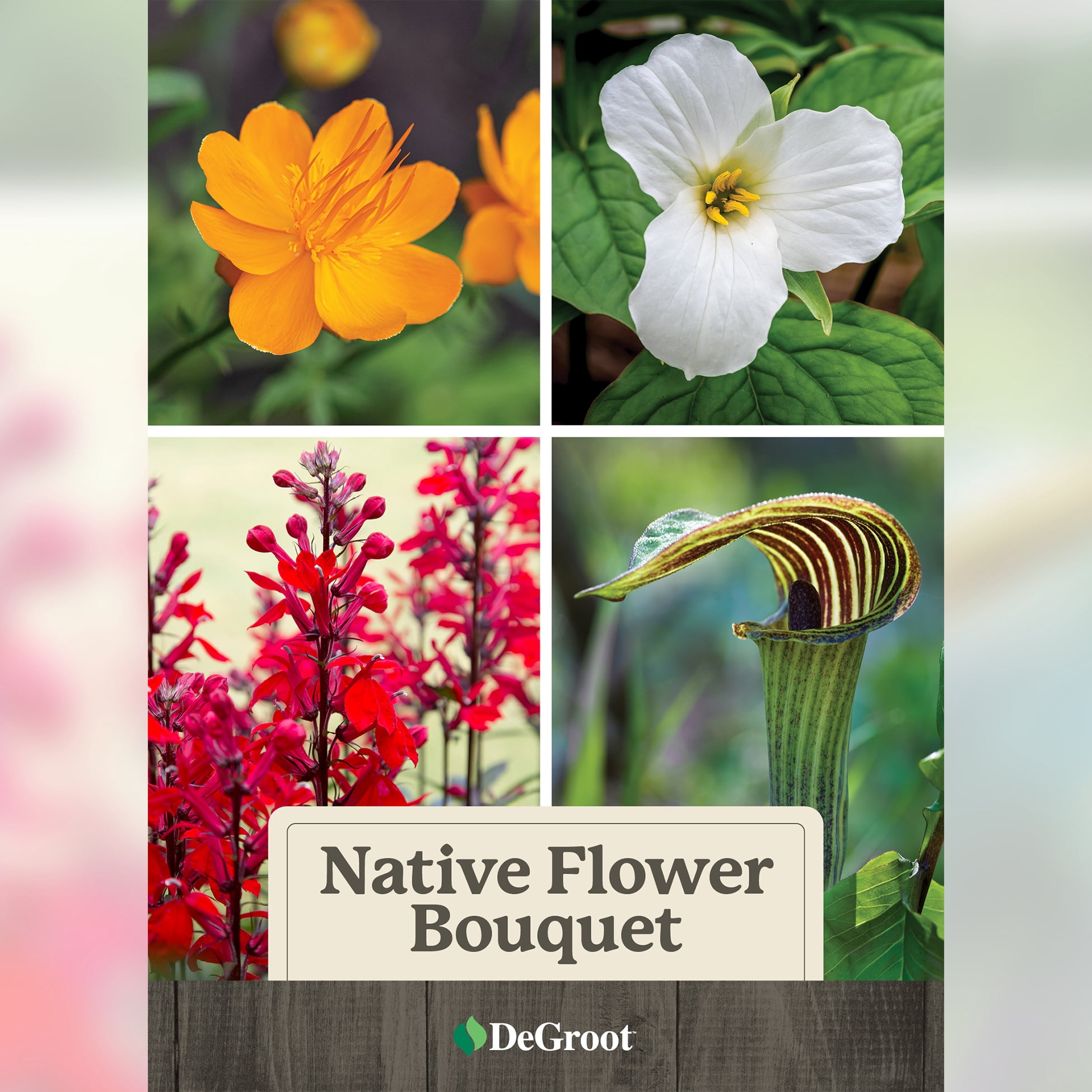 Native Flower Bouquet - Walmart.com