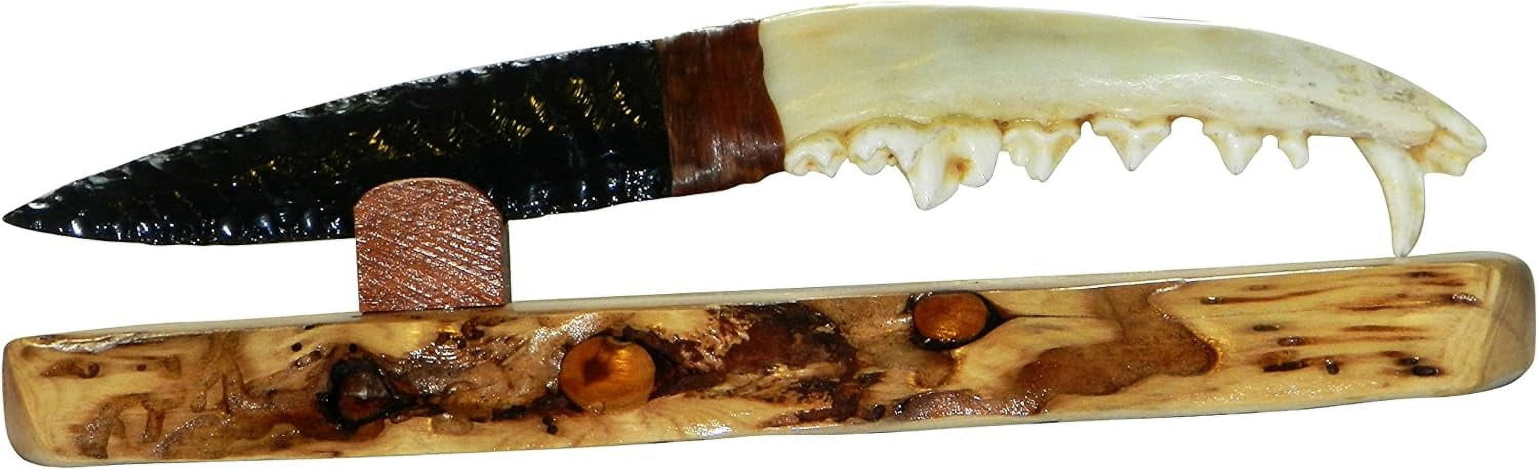Native Indian Coyote Jaw Obsidian Blade Knife - Walmart.com