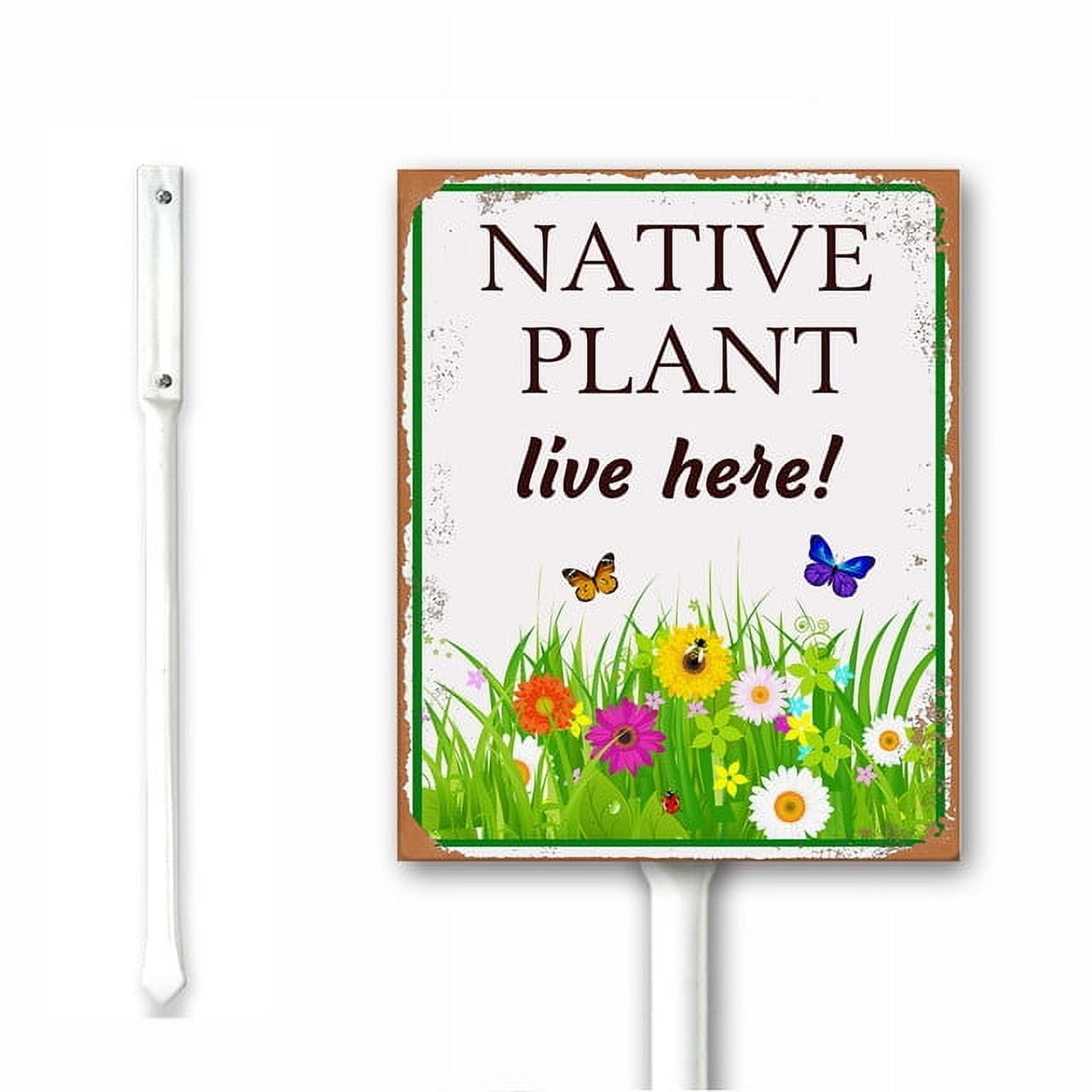 Native Plant Live Here Sign, Native Plant Garden Sign, Wildflower ...